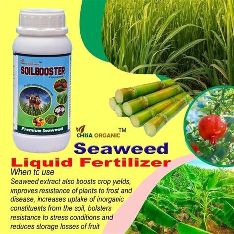 Seaweed Liquid Fertilizer 5 Litres Bottle At Rs 283litre In