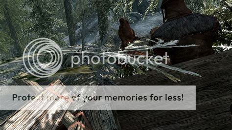 Load Issues CTD Every Time SOLVED Page 2 Skyrim Technical Support LoversLab