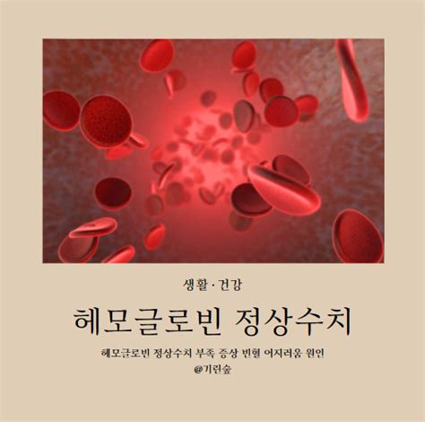 헤모글로빈 정상수치 적혈구 수치 부족 빈혈 어지러움 증상 원인 알아보기 네이버 블로그