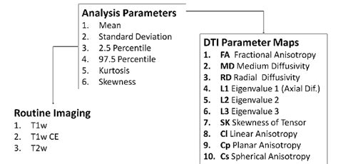 Analysis Parameters Applied To Routine Imaging And Dti Parameter Maps