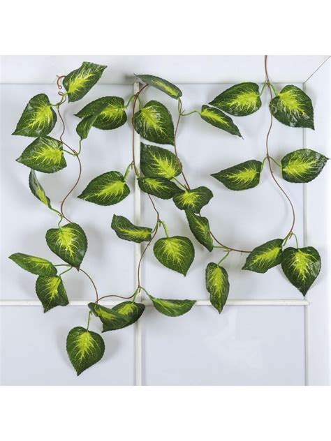 Лианы для декора комнаты 75 фото