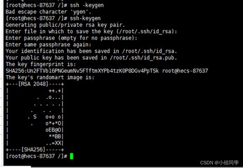 【ssh登录原理解析及免密登录实操】简述什么是ssh并写出免密登录的过程 Csdn博客 【ssh登录原理解析及免密登录实操】简述什么是ssh并写出免密登录的过程 Csdn博客