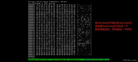 【linux】操作系统引导过程，手把手教你修复3种开机故障linux引导修复 Csdn博客