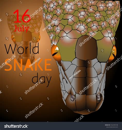1 Giant Venomous Phyton Stock Vectors And Vector Art Shutterstock