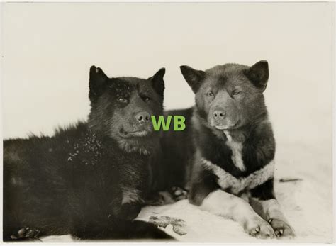 WB Meaning » Slang term definition & example usage » Slang.org