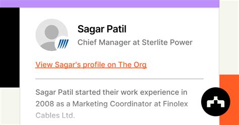 Sagar Patil Chief Manager At Sterlite Power The Org