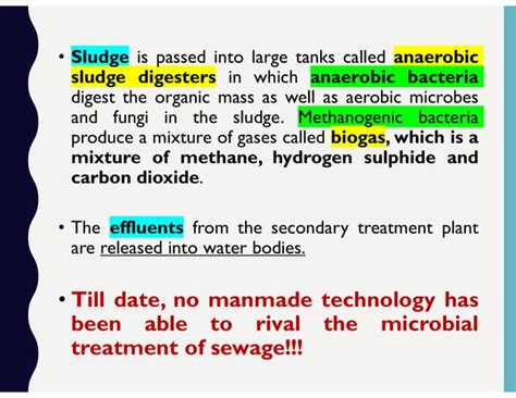 Xii Bio Microbes In Human Welfare Complete Pdf