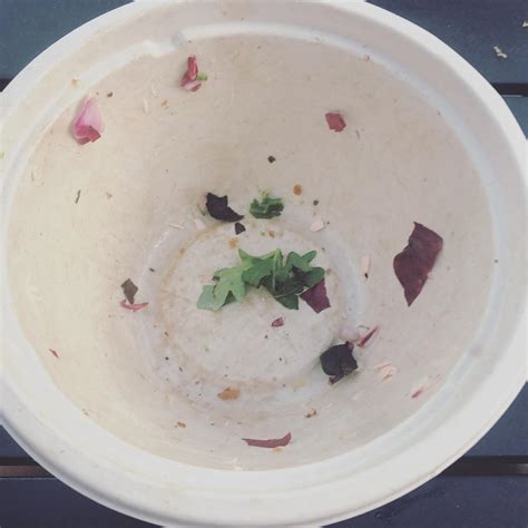 Clean Yo Plate Cleansplate • Instagram Photos And Videos