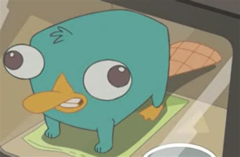 Fotos De Phineas Y Ferb Perry De Bebé Imagui