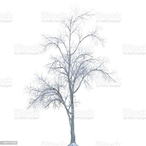 흰색 배경 3d 일러스트에 고립 된 눈의 겨울 나무 0명에 대한 스톡 사진 및 기타 이미지 0명 3차원 형태 겨울 Istock