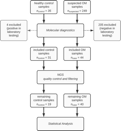 flowchart of cohort collocation download scientific diagram