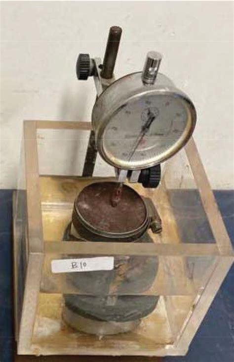 Snapshots Of Partial Immersion Deformation A Immersion For 1 Min