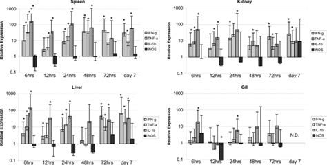 Tissue Specific Transcriptional Responses To Francisella Sp Infection Download Scientific