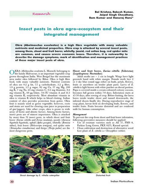 07 Insect Pests In Okra Agro Pdf Pest Organism Insects
