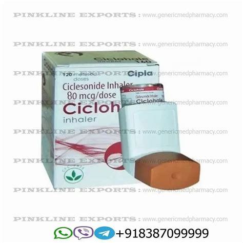 Ciclesonide 80mcg Inhaler At ₹ 300 In Nagpur Id 24968997248