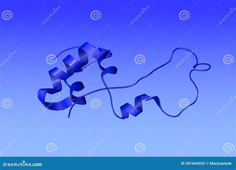 Nmr Structure Of Proinsulin Ribbons Diagram On Blue Background Rendering Based On Protein Data