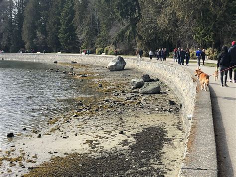 Stanley Park Seawall
