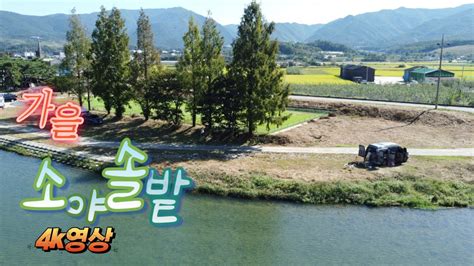 가을에 다시찾은 문경 소야솔밭 차박 백패킹 오토캠핑 무료로 전부 가능한곳입니다 Youtube