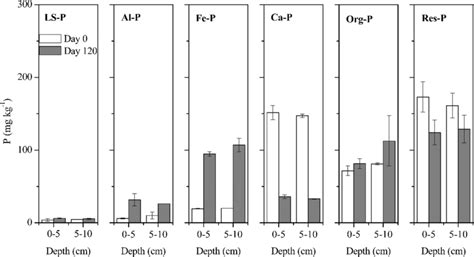 Temporal Variations Of P Fractions In The Depths Of 05 Cm And 510 Cm