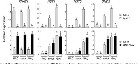 Figure 5 From Regulation Of Xylem Fiber Differentiation By Gibberellins