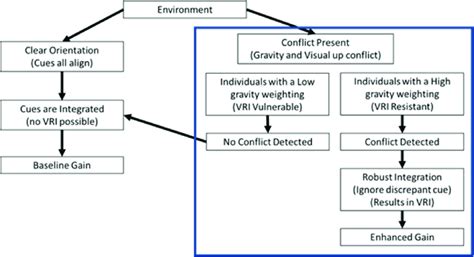 The Effect Of Visual Vestibular Conflict On Visual Gain A Model Of How
