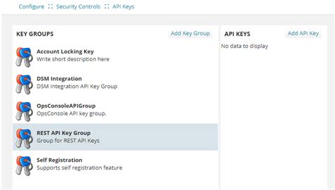 Using The REST API Key