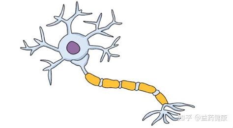 神经损伤能好吗？分清神经损伤症状，3个修复方法提前了解！ 知乎
