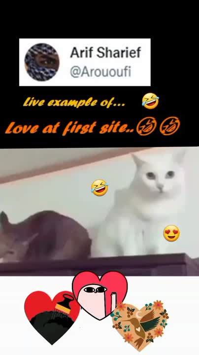 Arif Sharief On Linkedin Love Firstsite Firstsitelove Socialsunday