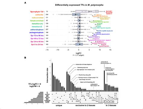 Differential Gene Expression Edger At Mary Holden Blog