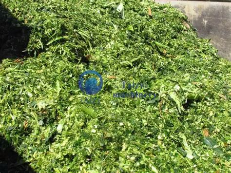 Corn Silage Baling For Improving Animal Husbandry Efficiency