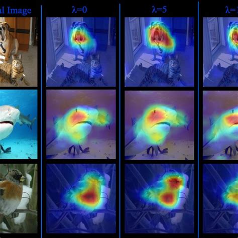 Localization Of Salient Regions Of Input Images By Grad Cam [58] λ 0 Download Scientific