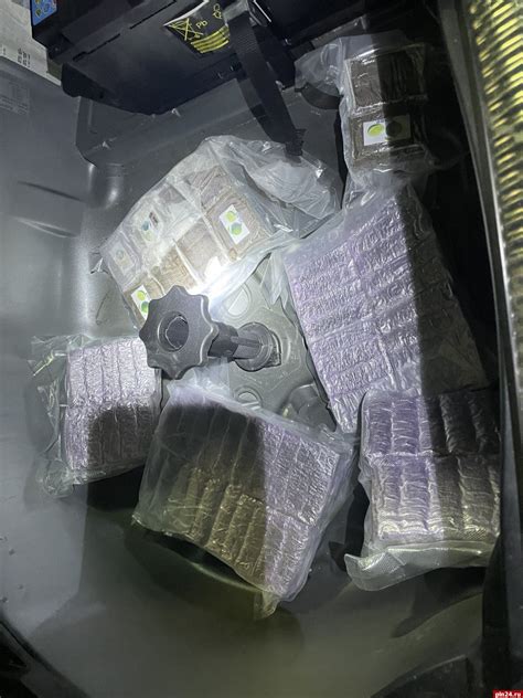 Уроженца Латвии осудили за контрабанду наркотиков через границу РФ в Псковской области — Teletype