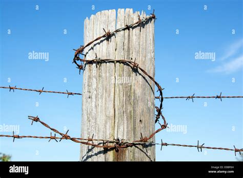 Rusty Barbed Wire Stock Photo Alamy