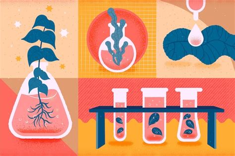 Micro Rnas Plants Vectors And Illustrations For Free Download