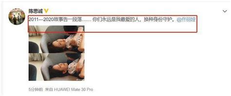 继赵丽颖离婚后，又一女星官宣离婚，网友们也直呼：早该分开了！陈思诚佟丽娅明星