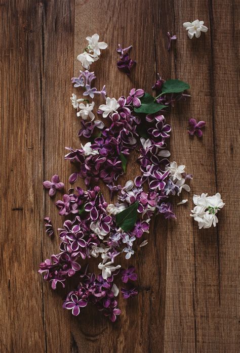 Koavone® Fraterworks