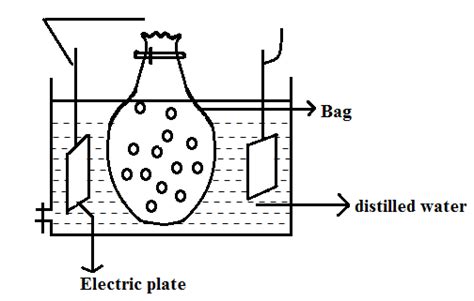 Colloids Definition Properties Types Examples Notes