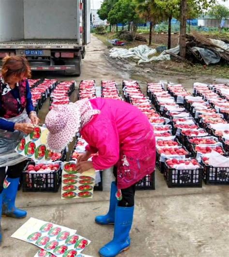 端午節，他們品嘗到了「王母娘娘的蟠桃宴」 壹讀