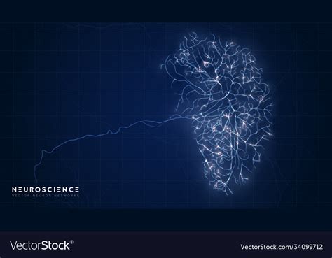 Neuron System Complex Model Neural Net Structure Vector Image