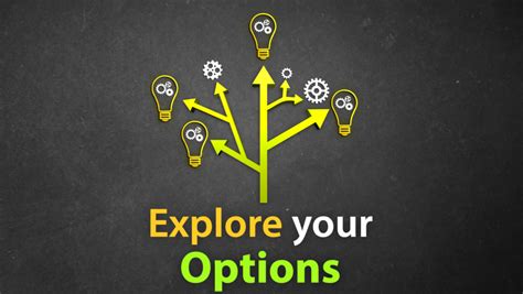 Netsuite License Options Demystified Making The Right Choice Epiq Infotech