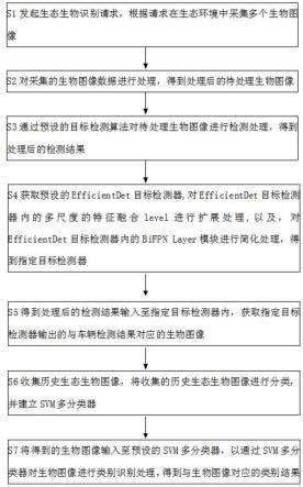 基于EfficientDet算法的生态生物识别方法与流程