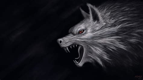 Scary Wolf Wallpapers Top Free Scary Wolf Backgrounds Wallpaperaccess