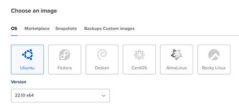 How To Self Host Plausible Analytics