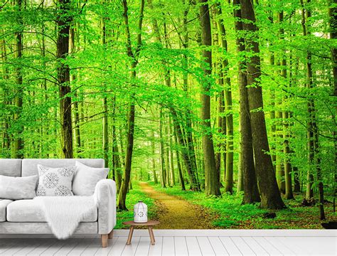 Tranquil Forest Wall Mural At Alexandra Susie Blog