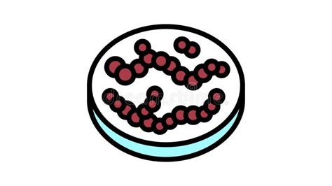 Bacteria Streptococcus Pneumoniae Also Known As Pneumococcus Stock Footage Video Of Biology