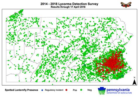 Spotted Lantern Fly Map Stormhalf
