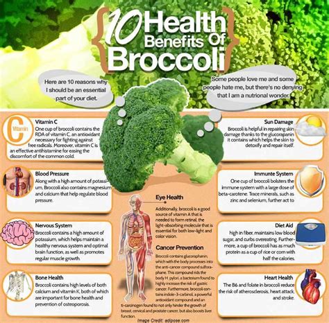 Health Benefits Of Black Broccoli At Hayley Stokes Blog