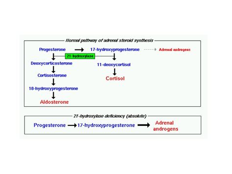 Congenital Anomalies Of Female Reproductive System