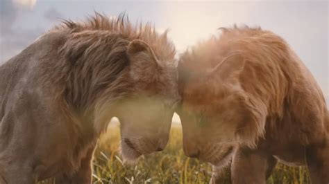 Mufasa And Sarabi And Simba Mufasa Sarabi And Simba On Lionkingfans12