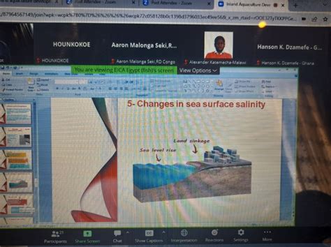 Hala Fouad On Linkedin I Had The Opportunity To Give An Online Lecture